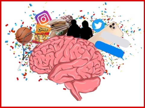 Teen Brains & Mental Health: Understanding and Respecting a Developing ...